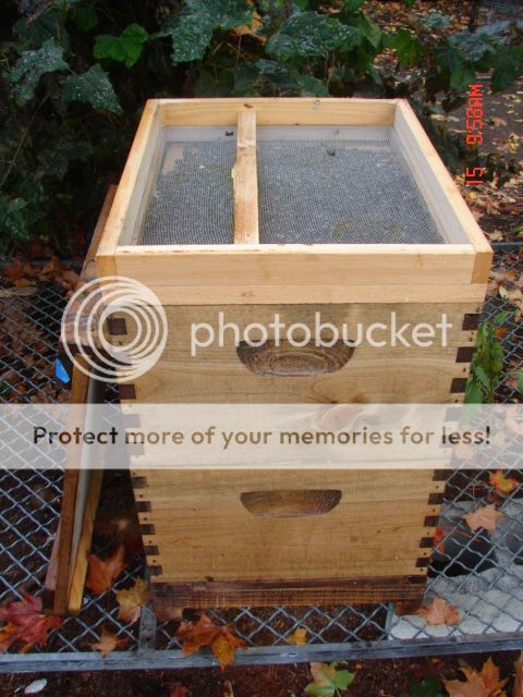 8 Frame vs 10 Frame? Pros and Cons.. | Beesource Beekeeping Forums